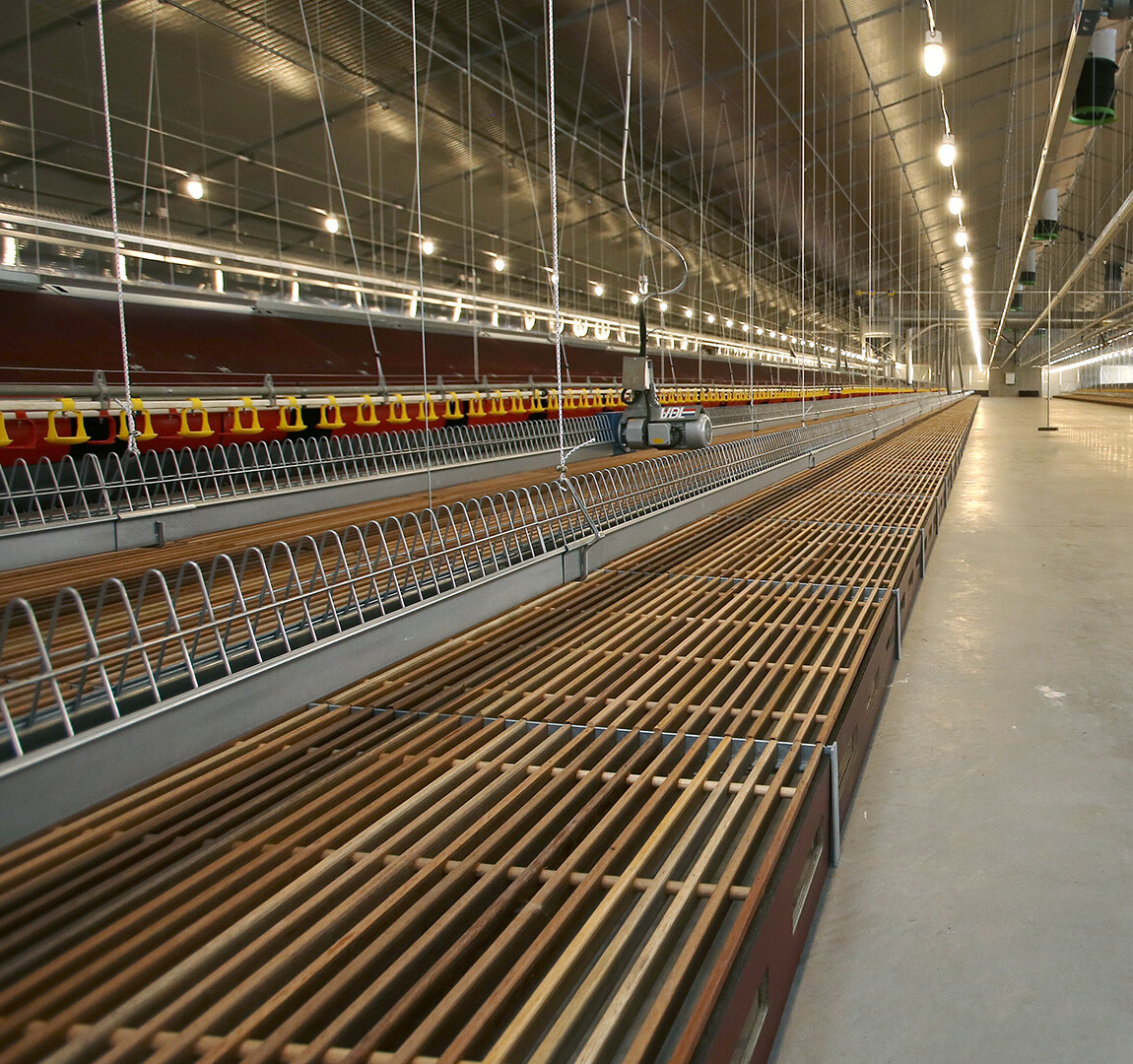 Van Gent Slat - Vencomatic Group